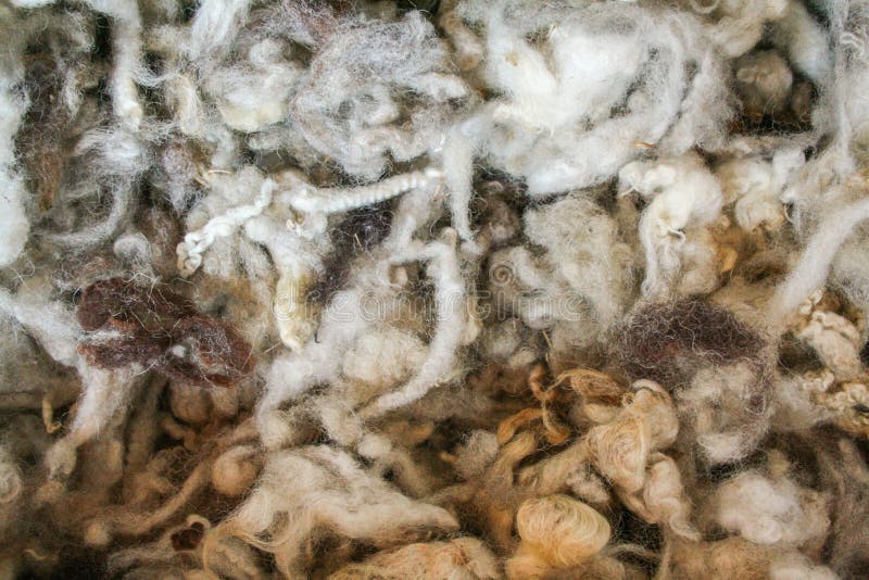 Raw virgin wool stock image. Image of material, texture - 94507127