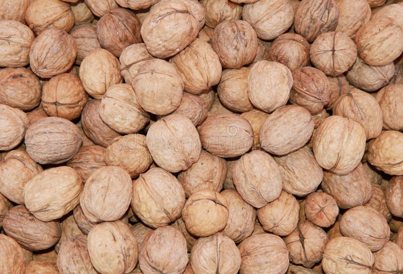 Raw walnuts stock photo. Image of object, nutrient, brown - 15811182