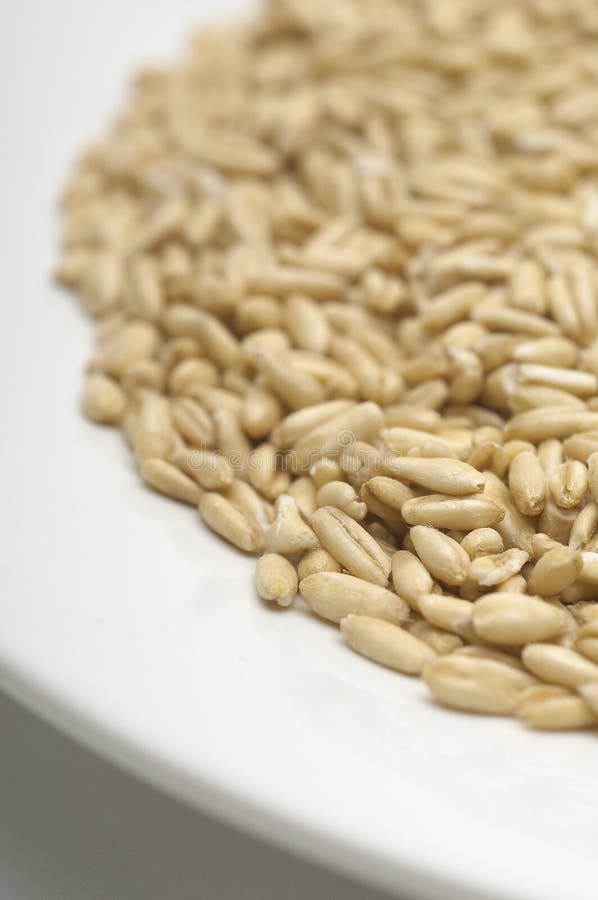 Raw Wheat in a Plate stock photo. Image of wheat, isolated - 29661498