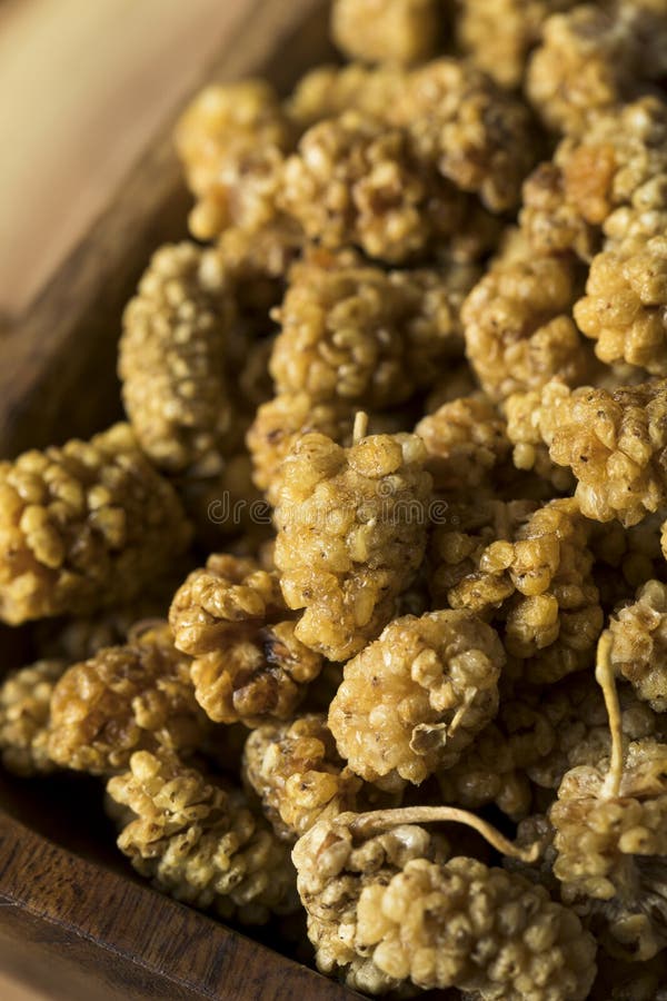 Raw White Dried Mulberries stock image. Image of nutrient - 81630803