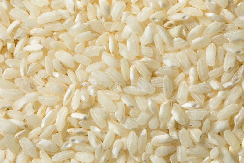 Raw White Organic Arborio Rice Stock Photo - Image of uncooked, risotto ...