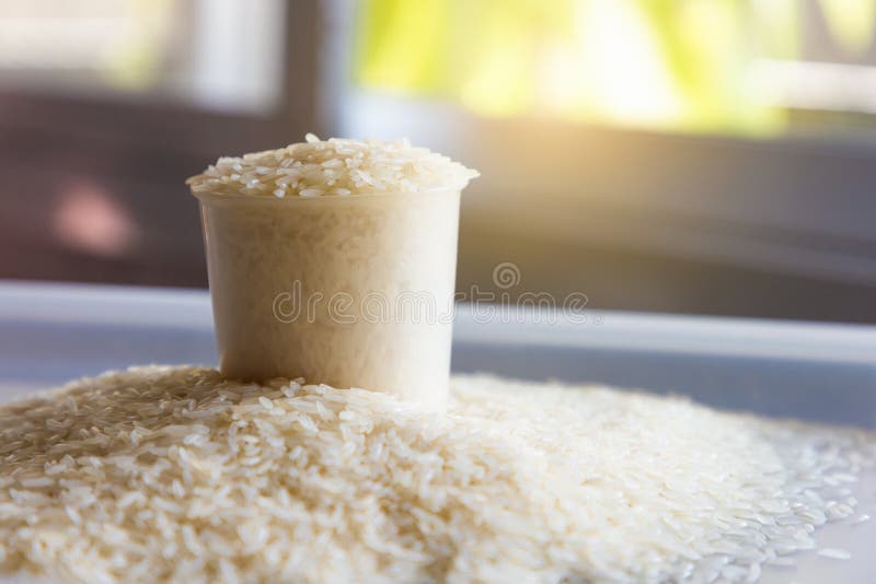 Raw White Polished Milled Edible Rice or Jasmine Rice in a Cup Stock ...