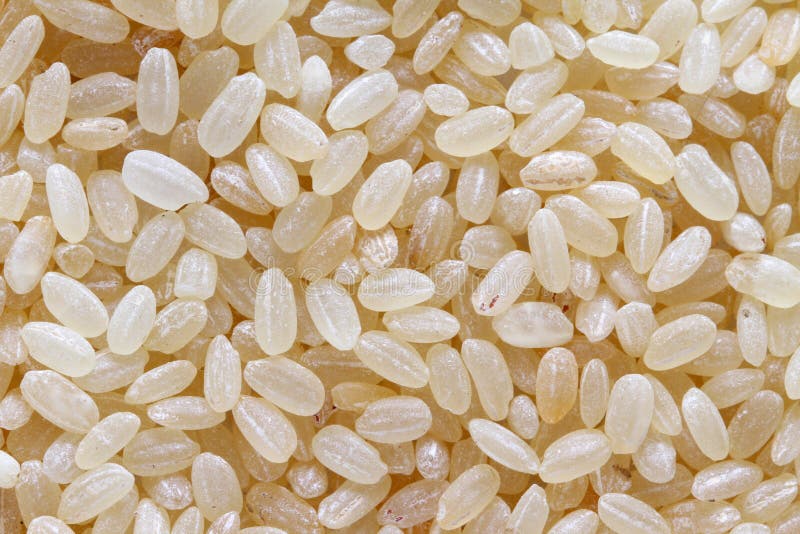 Rice macro stock photo. Image of import, cook, chef, extreme - 37476388