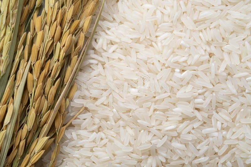 Raw White Rice (Uncooked) with Paddy Seeds Texture Stock Photo - Image ...