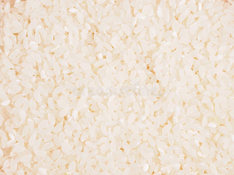 Raw White Round Grain Rice As Background Stock Photo - Image of white ...
