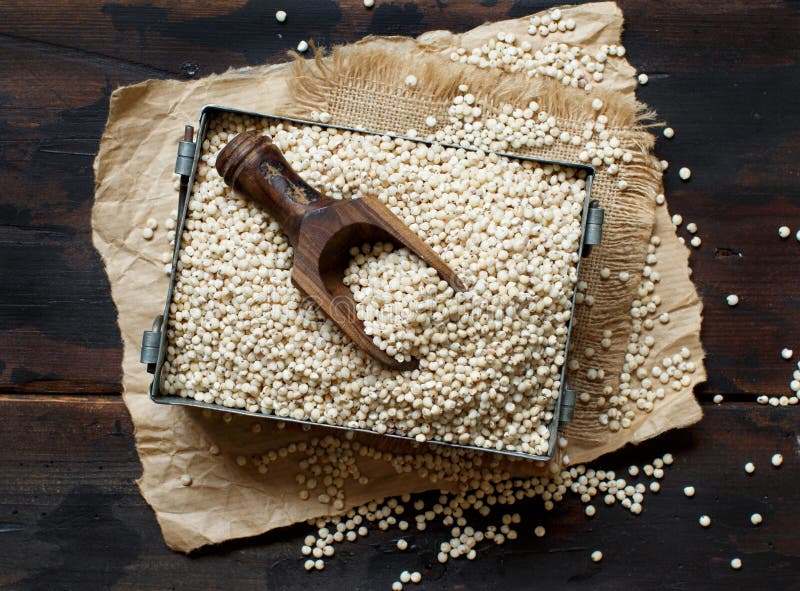 Raw White Sorghum grain stock image. Image of fiber - 120634355