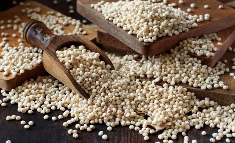 Raw White Sorghum grain stock photo. Image of vegan - 122509014