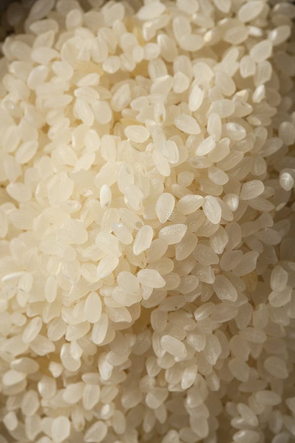 Raw White Sushi Rice stock photo. Image of cereal, sushi - 50791146