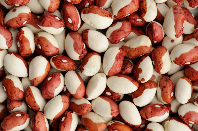 Raw Whole Colorful White and Red Beans Pattern Stock Photo - Image of ...