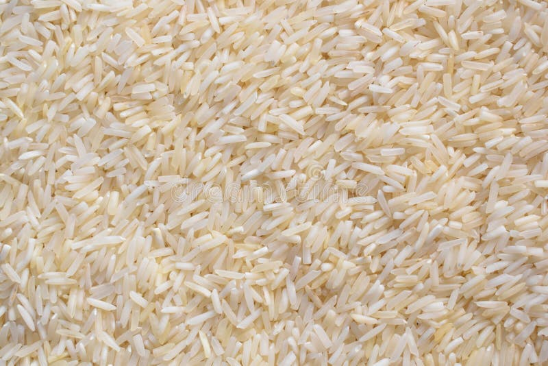 Raw Whole Basmati Aromatic Rice Stock Image - Image of rice, uncooked ...