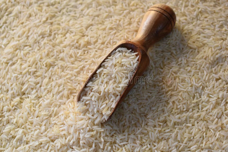 Whole Basmati Aromatic Rice Stock Photo - Image of diet, crop: 202639774