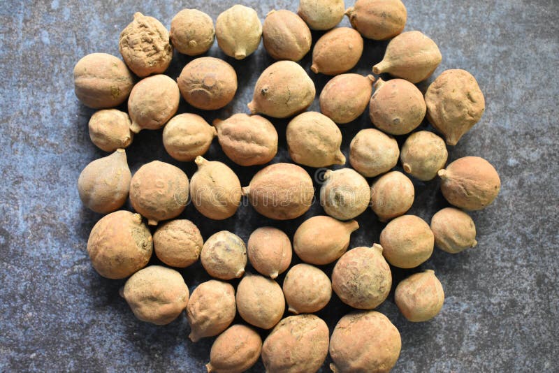 Behada Stock Photos - Free & Royalty-Free Stock Photos from Dreamstime