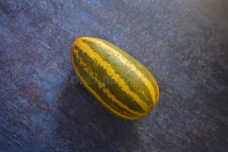 Whole Dosakai Cucumber stock image. Image of produce - 202445241