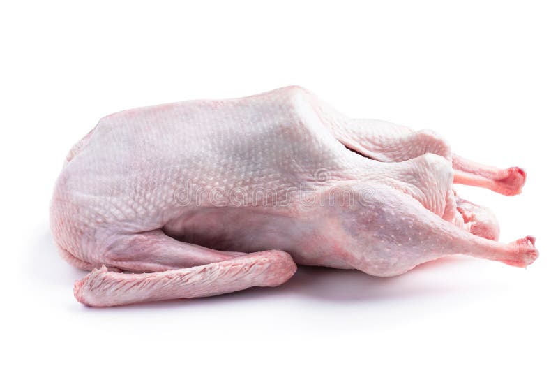 Raw Whole Goose Isolated on White Stock Photo - Image of ingredient ...
