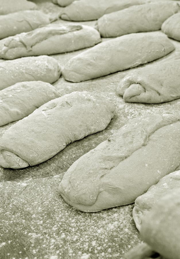 Raw Whole Grain Bread in Fermentation Stock Image - Image of group ...