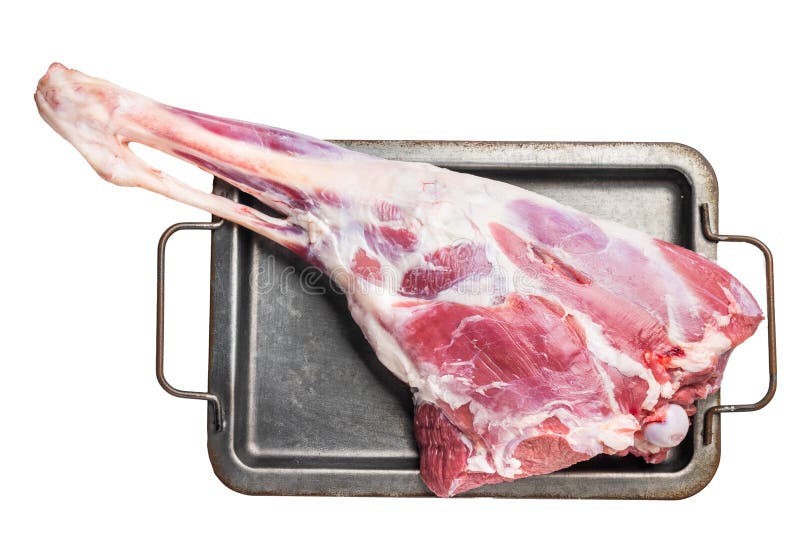 Raw Whole Lamb Leg, Fresh Mutton Meat Isolated on White Background. Top ...