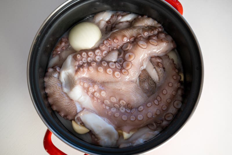 Raw Whole Octopus in a Pot, Being Prepared for Cooking. Top View, No ...