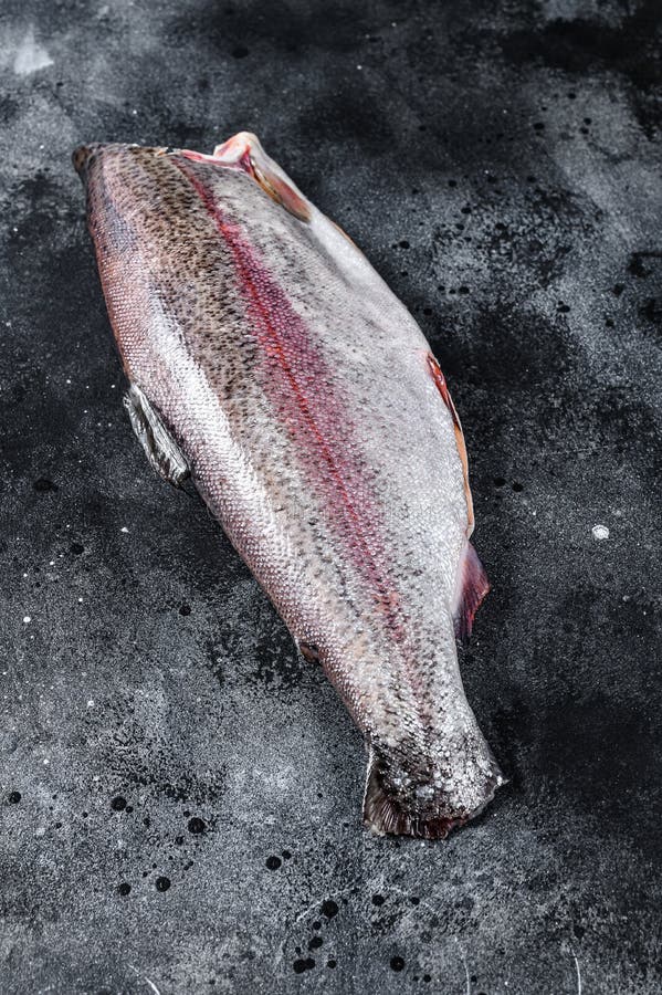 Raw Whole Trout Fish without a Head. Black Background Stock Photo ...