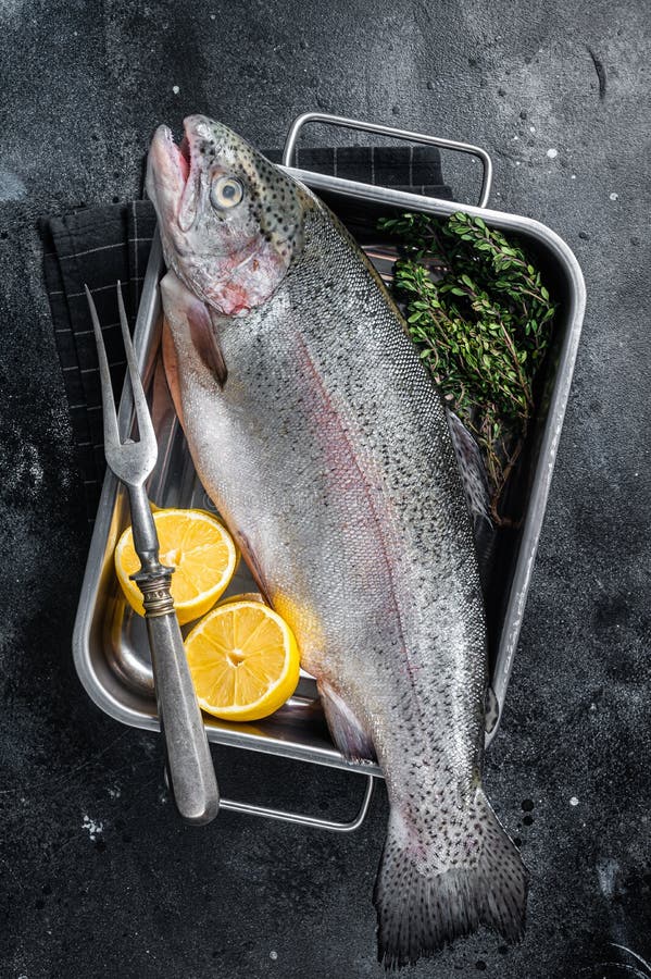Raw Whole Trout Fish in a Kitchen Tray with Herbs. Black Background ...