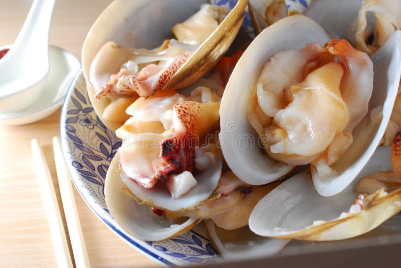 Raw Winkles stock photo. Image of food, cook, clams, tops - 25991906