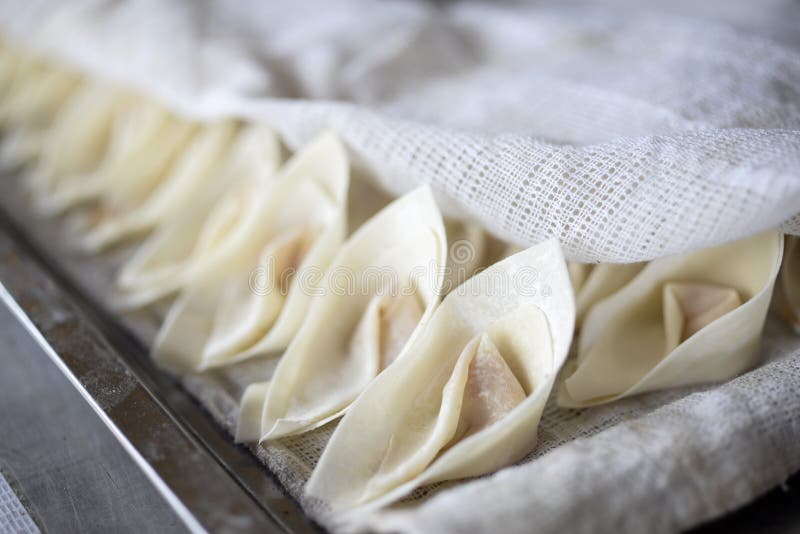 448 Raw Wonton Stock Photos - Free & Royalty-Free Stock Photos from ...