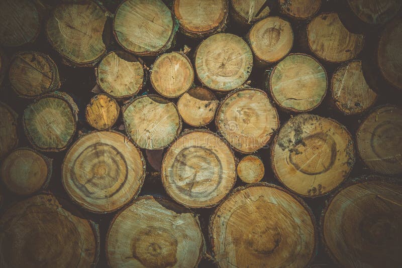Raw Wood Logs Background stock image. Image of woodpile - 72557835