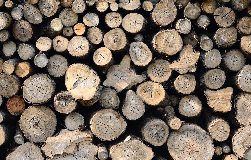 Stacked Cut Raw Timber Wood Logs Stock Image - Image of sawn, lumber ...