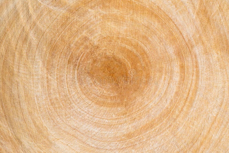 Raw wood rings texture stock image. Image of shape, board - 98998155