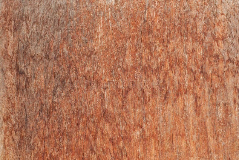 Raw Wood Texture Backdrop Wallpaper Stock Image - Image of empire ...