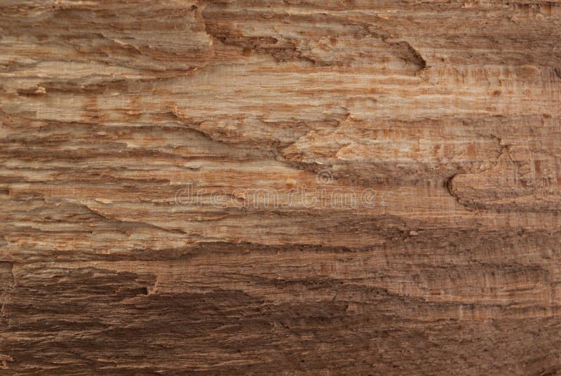 Raw Wood Texture and Natural Pattern for Design and Decoration Stock ...
