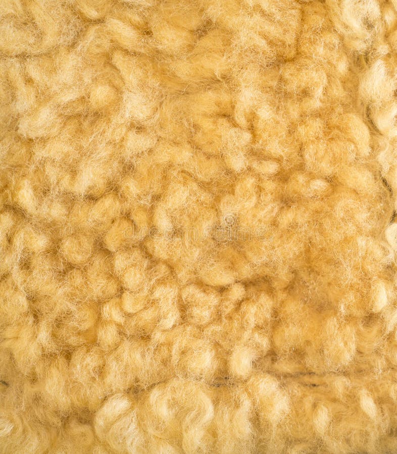 6,671 Raw Wool Stock Photos - Free & Royalty-Free Stock Photos from ...