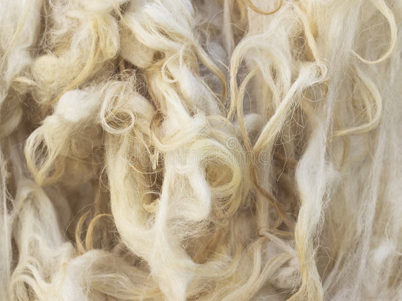 Raw wool stock image. Image of heap, arranged, craft - 50439479