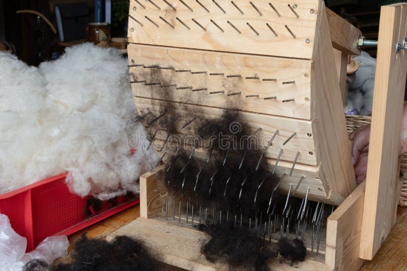 Flick Fox Stock Photos - Free & Royalty-Free Stock Photos from Dreamstime