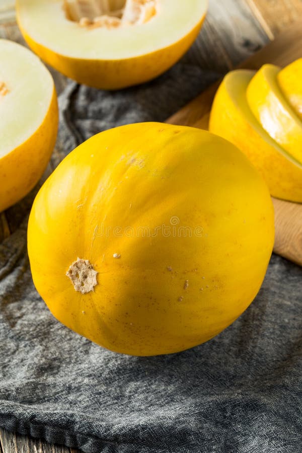 Raw Yellow Organic Canary Melon Stock Photo - Image of nature, natural ...