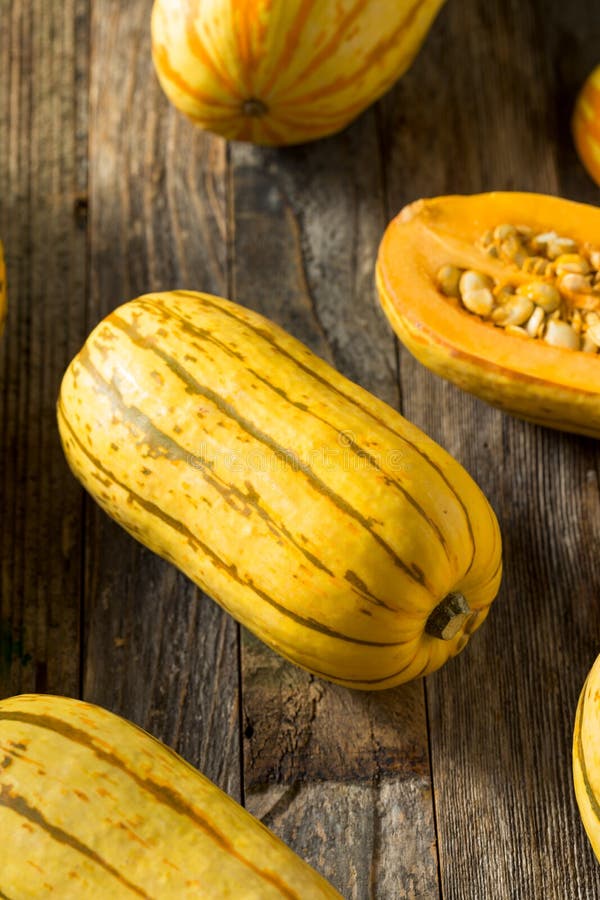 Raw Yellow Organic Delicata Squash Stock Photo - Image of vegetarian ...