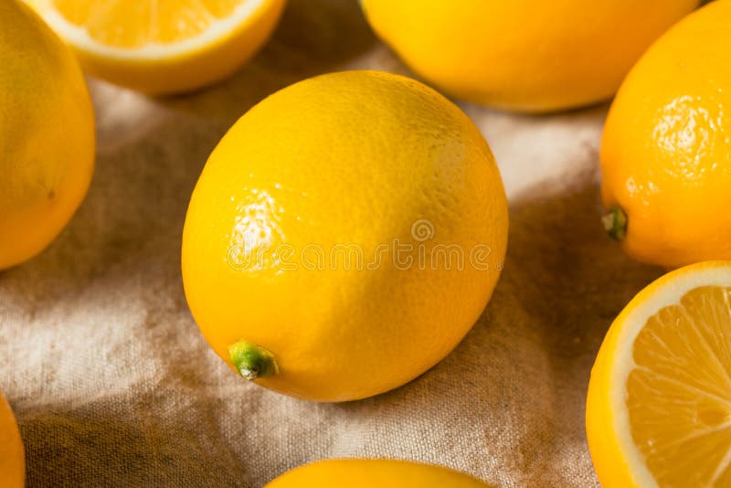 Raw Yellow Organic Meyer Lemons Stock Photo - Image of flavor, organic ...