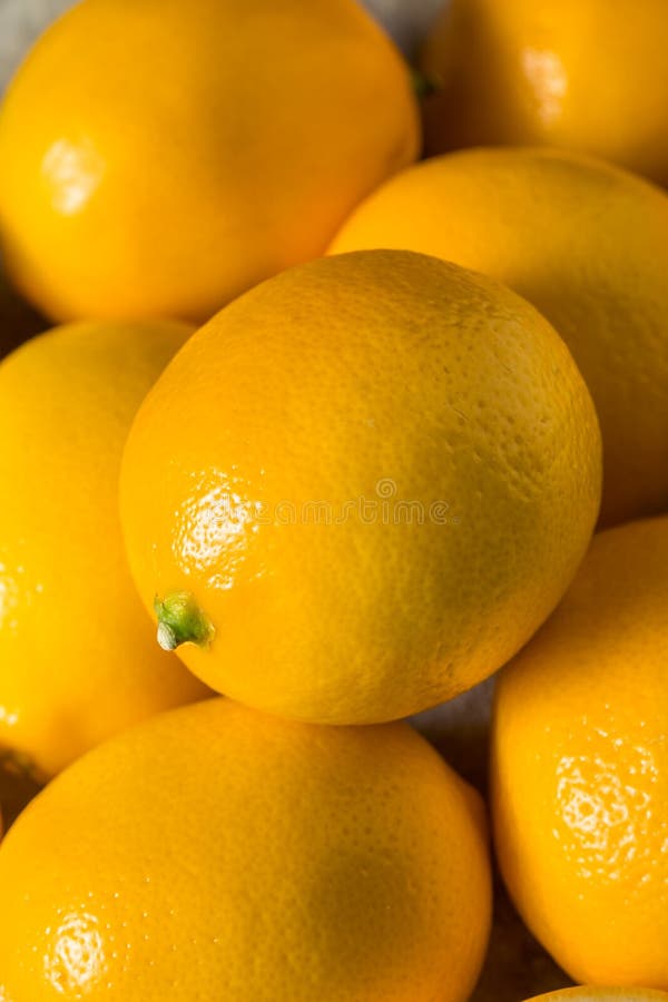 Raw Yellow Organic Meyer Lemons Stock Photo - Image of food, organic ...