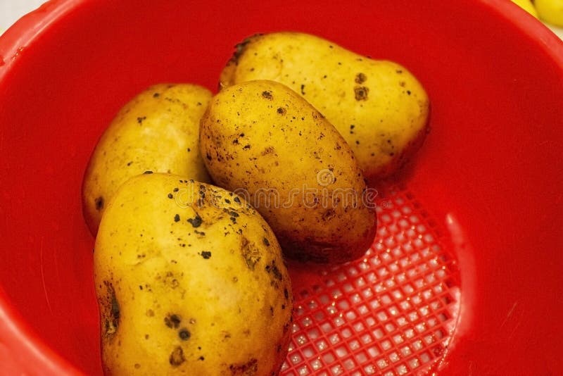 Raw Yellow Potato in a Red Colander Stock Photo - Image of board ...