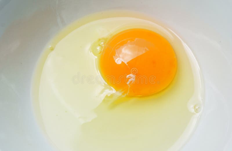 Raw Yolk and White Egg Cracked from Shell in Cup Stock Image - Image of ...