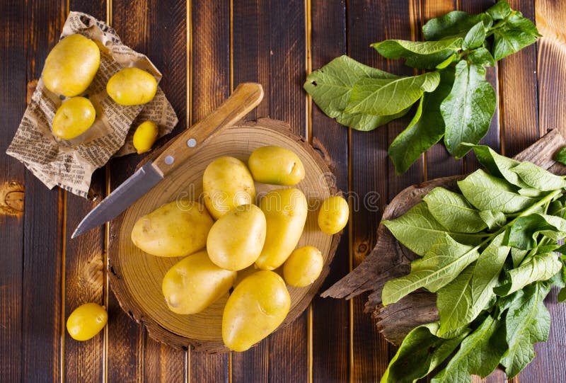 Raw Young Potatoes on a Table Stock Photo - Image of rural, ground ...