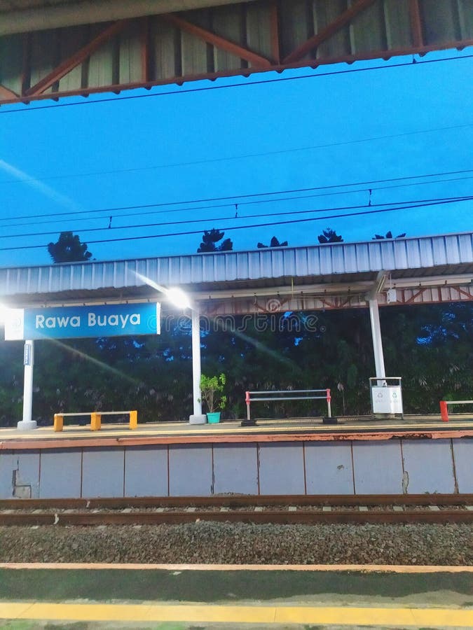 Rawa Buaya Stock Photos - Free & Royalty-Free Stock Photos from Dreamstime