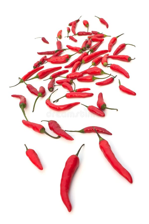 Rawit stock image. Image of pepper, thai, capsicum, chili - 30455419