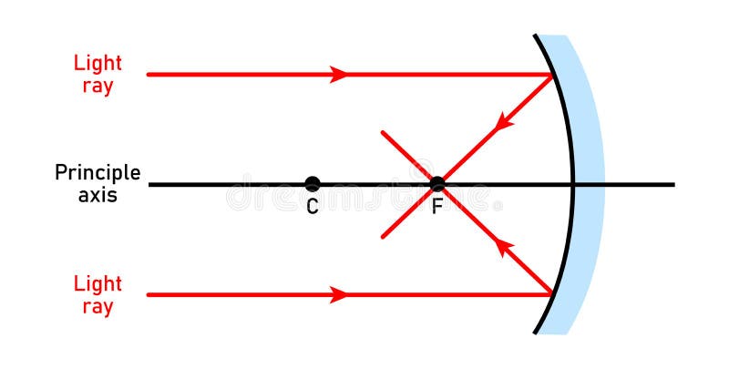 Ray Diagrams for Concave Mirror Vector Illustration Stock Vector ...