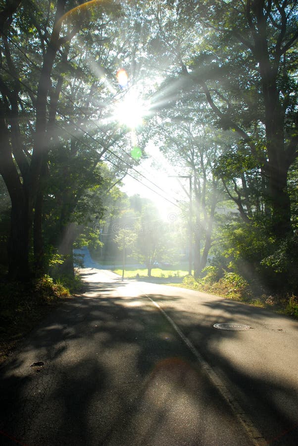 499,807 Hope Stock Photos - Free & Royalty-Free Stock Photos from ...