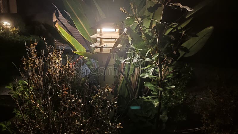 Ray of hope stock photo. Image of hope, vibes, positive - 151146976