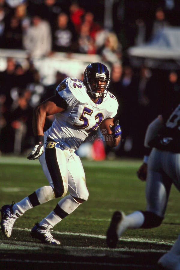 Ravens 52 Png Stock Photos - Free & Royalty-Free Stock Photos from ...