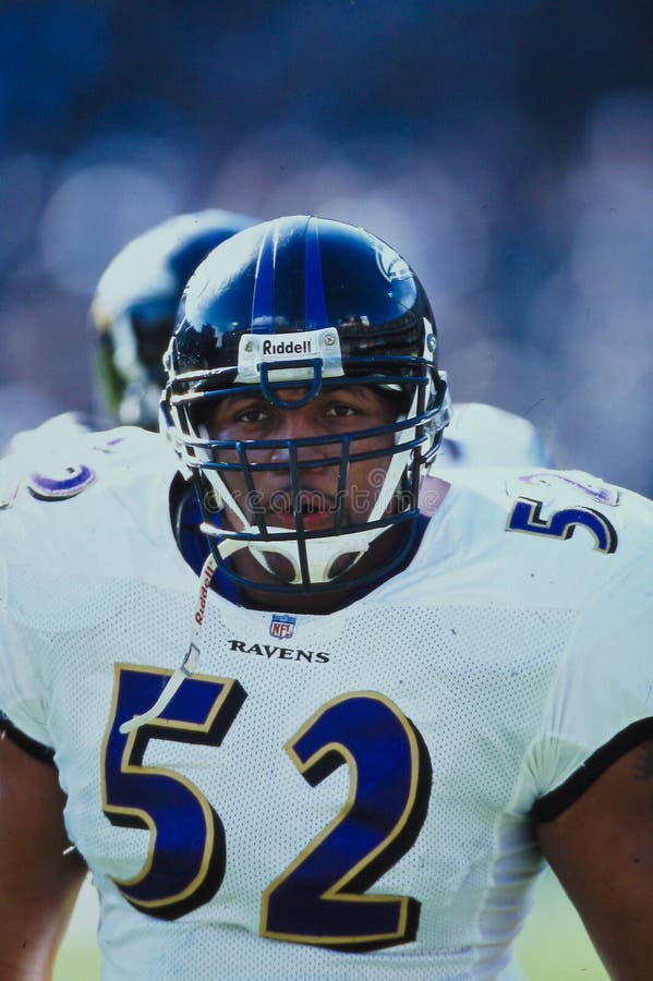 Ravens 52 Png Stock Photos - Free & Royalty-Free Stock Photos from ...