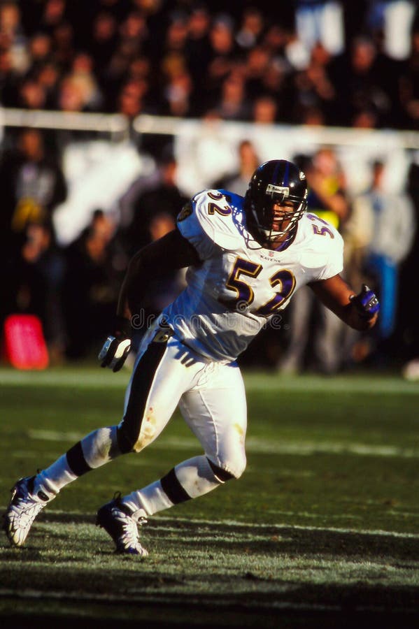 Ravens 52 Png Stock Photos - Free & Royalty-Free Stock Photos from ...