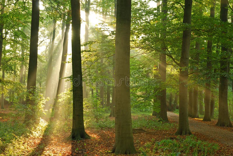 Ray of light stock image. Image of landscape, colourful - 3325987