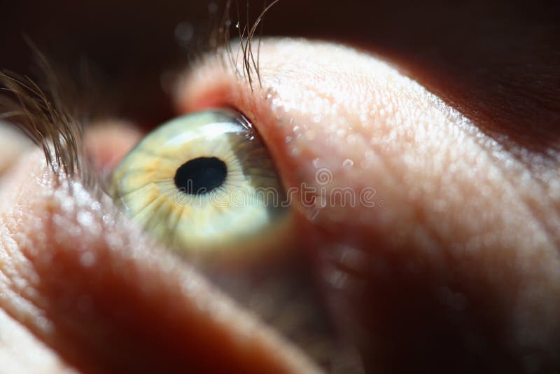 Ray of Light Falls on Human Eye Stock Photo - Image of eyelash ...